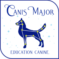 Canis Major – Éducation Canine Education